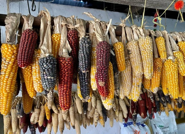 POX – descubriendodestilados